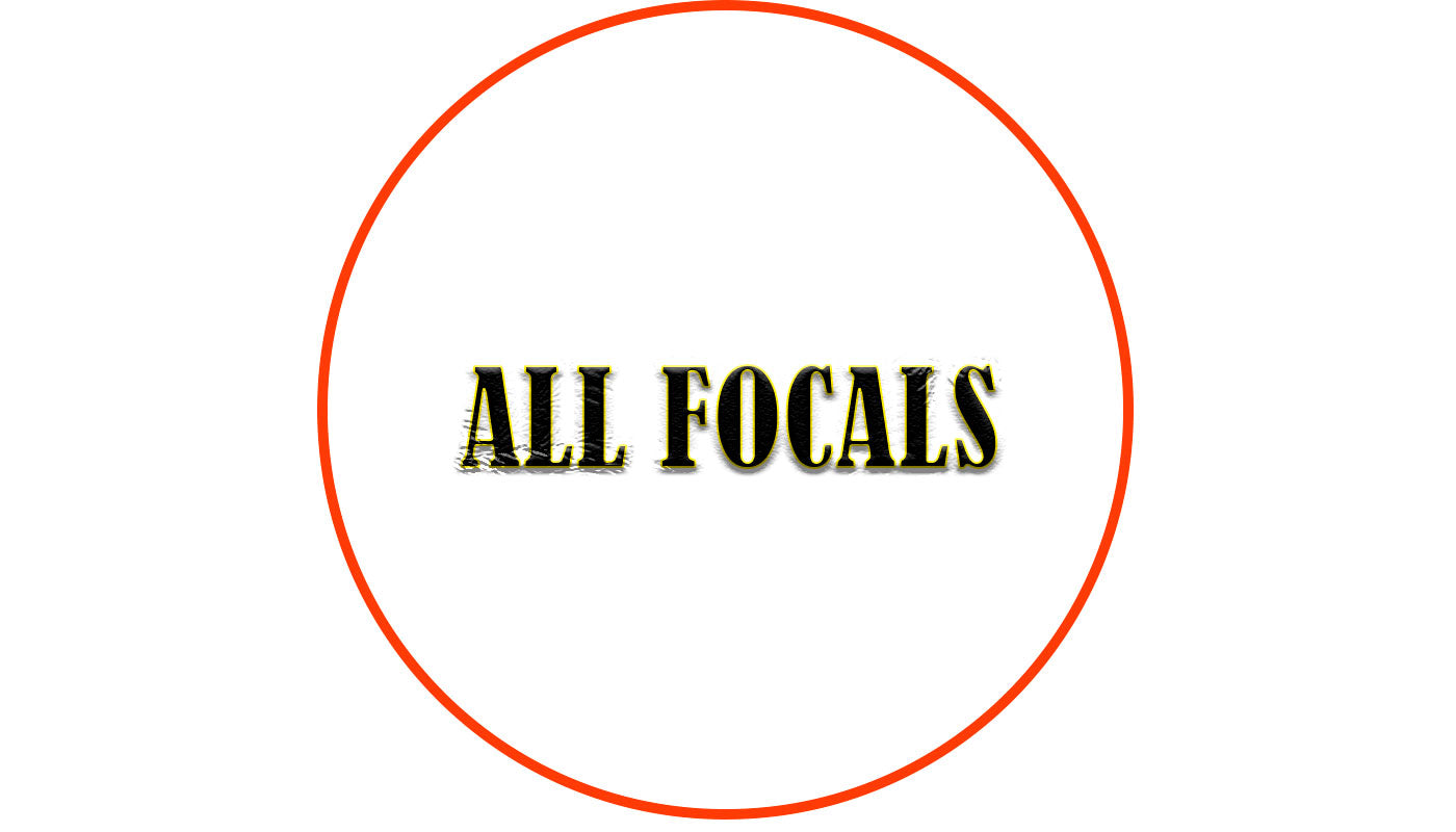 All Focal Beads